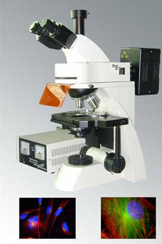Epi Fluorescent Microscope (l3001), High Quality Epi Fluorescent ...