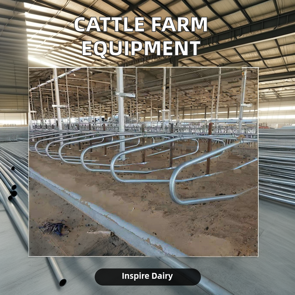 High Quality Dairy Barns With Free Stalls: New Design Cattle Farm ...
