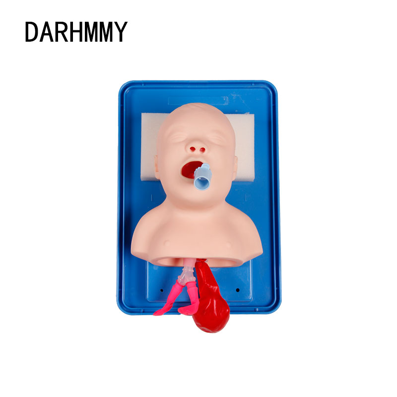 Darhmmy Advanced Pvc Neonatal Tracheal Intubation Model For Medical ...