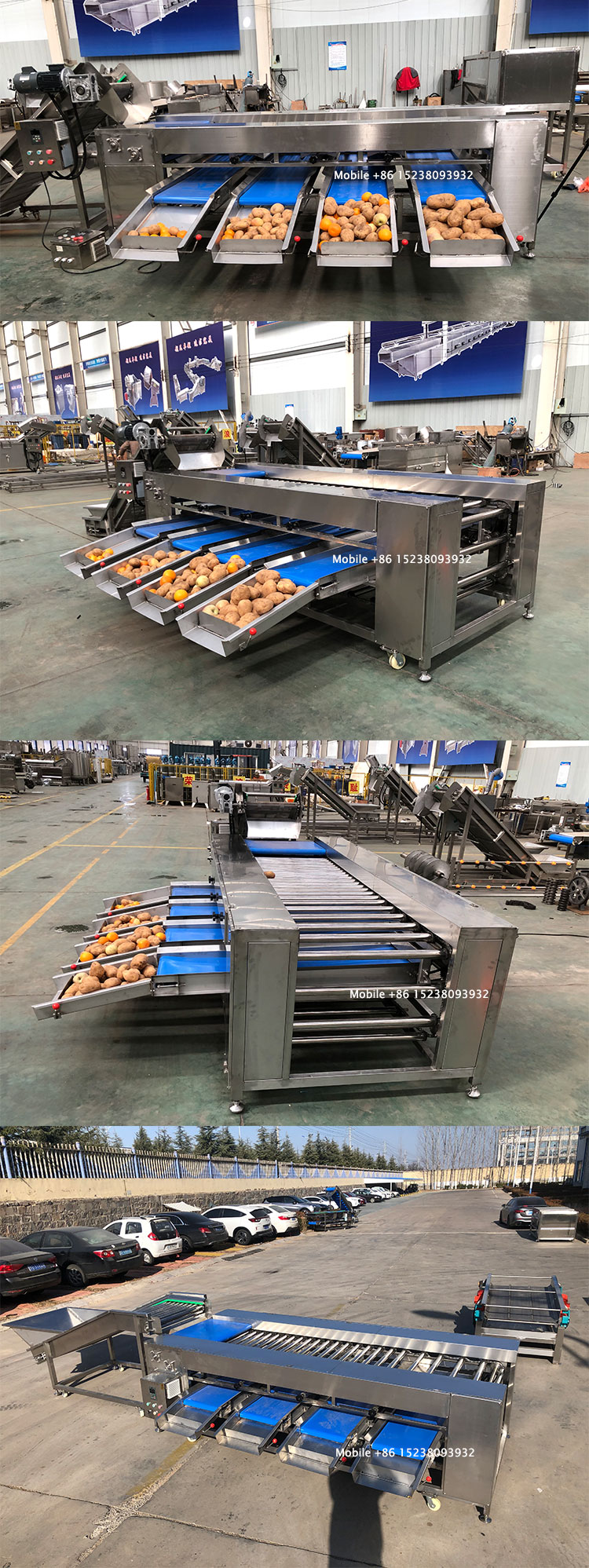 4 Sizes Automatic Carrot Grading And Cleaning Machine, High Quality 4 ...