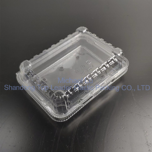 Transparent Pet Takeout Container Boxes Clamshell Food, High Quality ...
