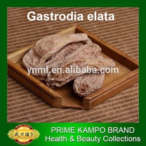 Organic Yunnan Natural Dried Gastrodia Elata, Rhizoma Gastrodiae ...