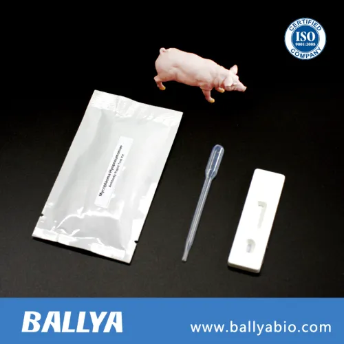 Mycoplasma Hyopneumoniae Antibody Rapid Test Kit, High Quality ...