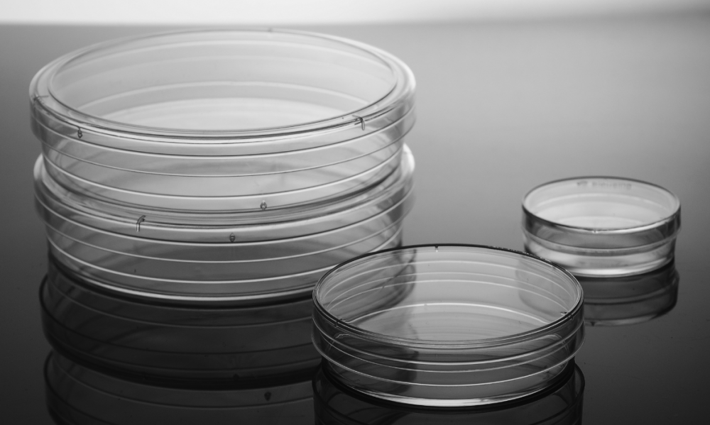 100mm Cell Culture Dishes laboratory China Manufacturer