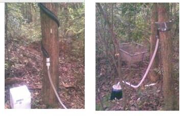 Qt-y/h Automatic Stem Flow Collector, High Quality Qt-y/h Automatic ...