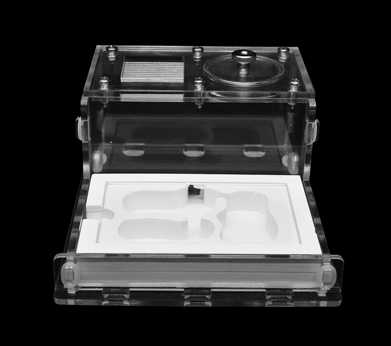 Diy Acrylic Flat Glass Gypsum Ant Farm Workshop Ant House With Feeding ...