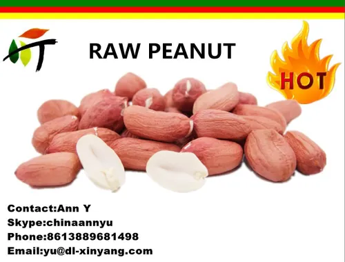 Wholesale Chinese Crop Groundnut Kernel, High Quality Wholesale Chinese ...