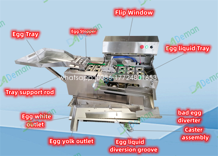 Factory Price Egg Separator Machine: Egg Shell Cracking And Yolk-white ...