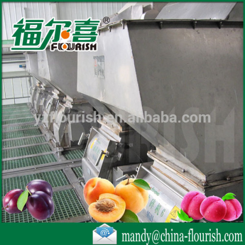Full Automatic Industrial Concentrate Juice Producing Line, High ...