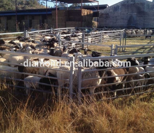 Portable Rails Sheep Yard/sheep Yard Panels, High Quality Portable ...