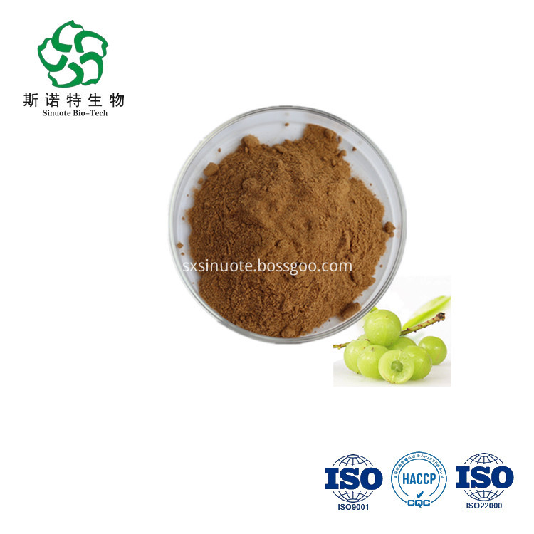 สารสกัดจากผลไม้ธรรมชาติ Phyllanthus Emblica Powder Amla Powder คุณภาพ ...