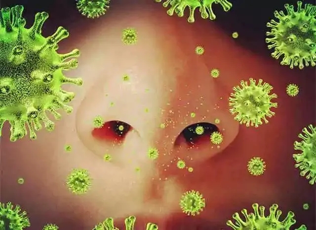 What Is The Difference Between Influenza A And Influenza B