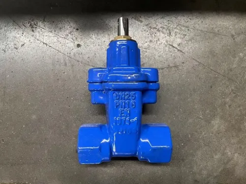 Pn16 Thread End Resilient Gate Valve, High Quality Pn16 Thread End ...