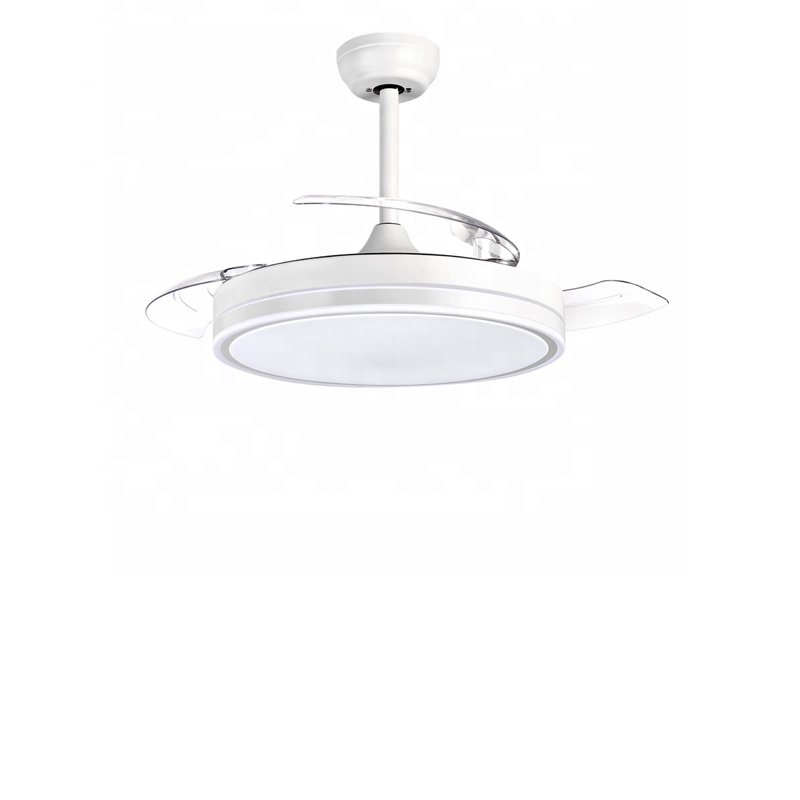 Modern White Reversible Bldc Ceiling Fan - 36inch/42inch With Timer ...