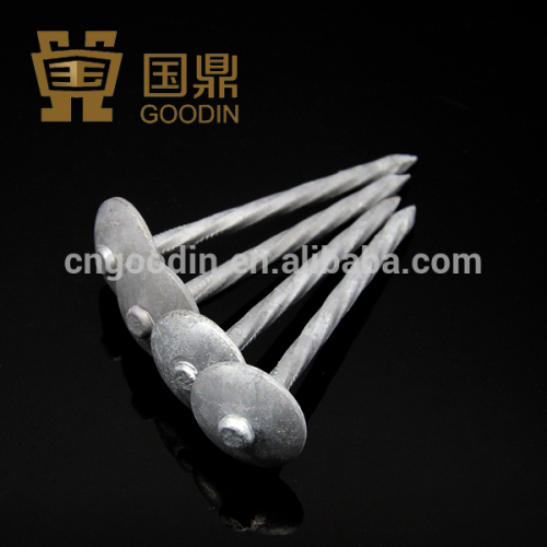 Common Coiled Nails, High Quality Common Coiled Nails on Bossgoo.com