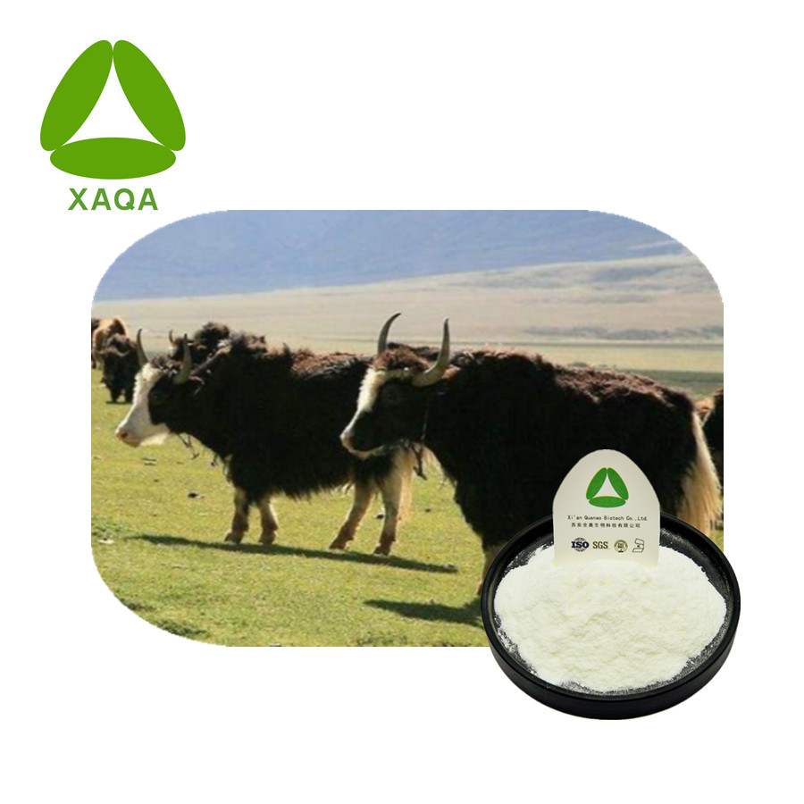 Bovine Collagen Hydrolysate Peptide Powder 98%, High Quality Bovine ...