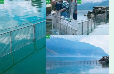Ss River Cable Screen, Ss 316, Durable Years 50, High Quality Ss River ...