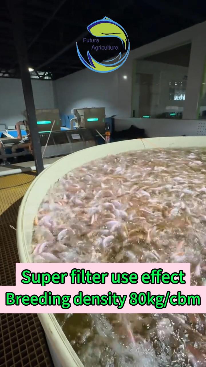 Big Plaster Sand Frp Water Fish Tank Filter Aquarium System Box, High ...