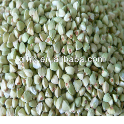 Green Buckwheat Kernels Without Shell, High Quality Green Buckwheat ...