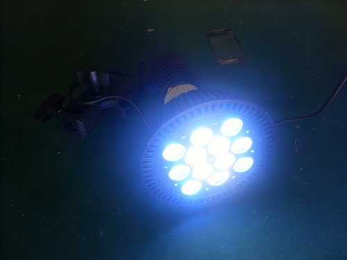 36w Led Spot Light For Your Fish Tank Led Par Light Par38 Al, High ...