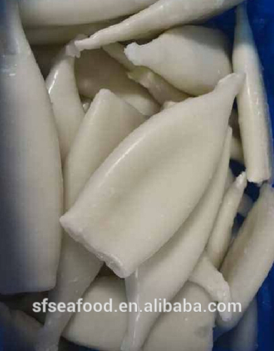 Squid Tube Of Peru Giant Squid, High Quality Squid Tube Of Peru Giant ...