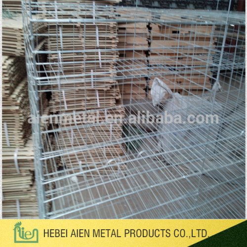 Q 235 Steel Auto Water System Quail Pigeon Cage, High Quality Q 235 ...
