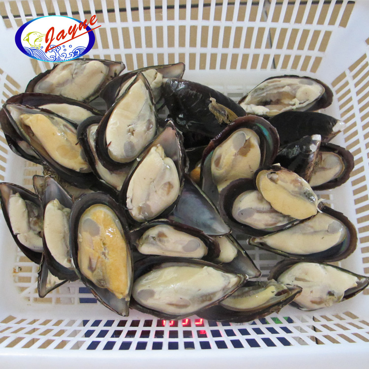 1kg/bag Or 1kg/box Package Frozen Half Shell Mussel In Shellfish With ...