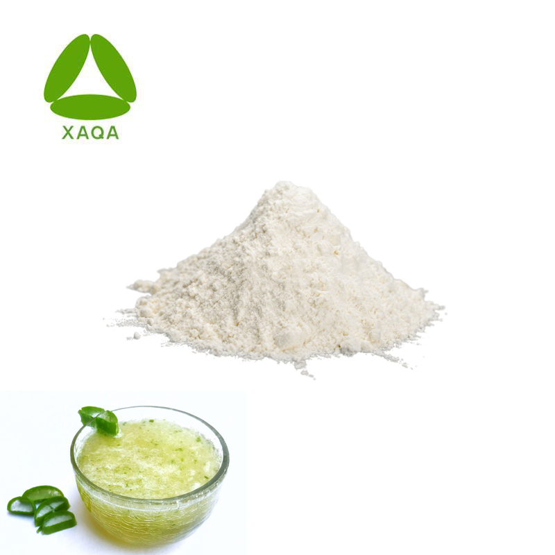 Aloe Vera Gel Freeze-dried Powder 200:1, High Quality Aloe Vera Gel ...