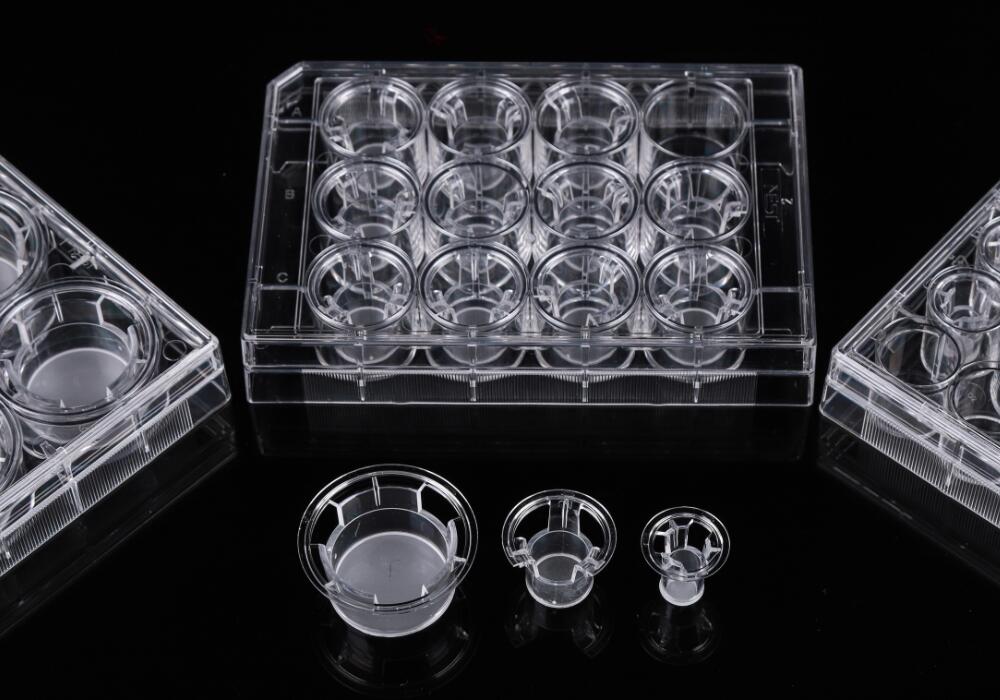 NEST Cell Culture Inserts China Manufacturer