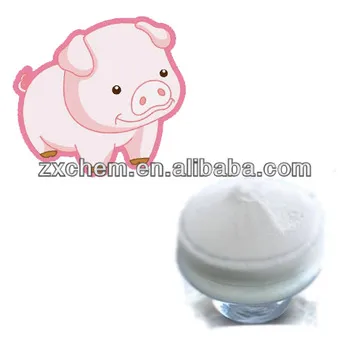 Nutraceutical Hydrolyzed Porcine Collagen, High Quality Nutraceutical ...