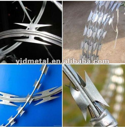 Airport Installation Concertina Razor Barbed Wire, High Quality Airport ...