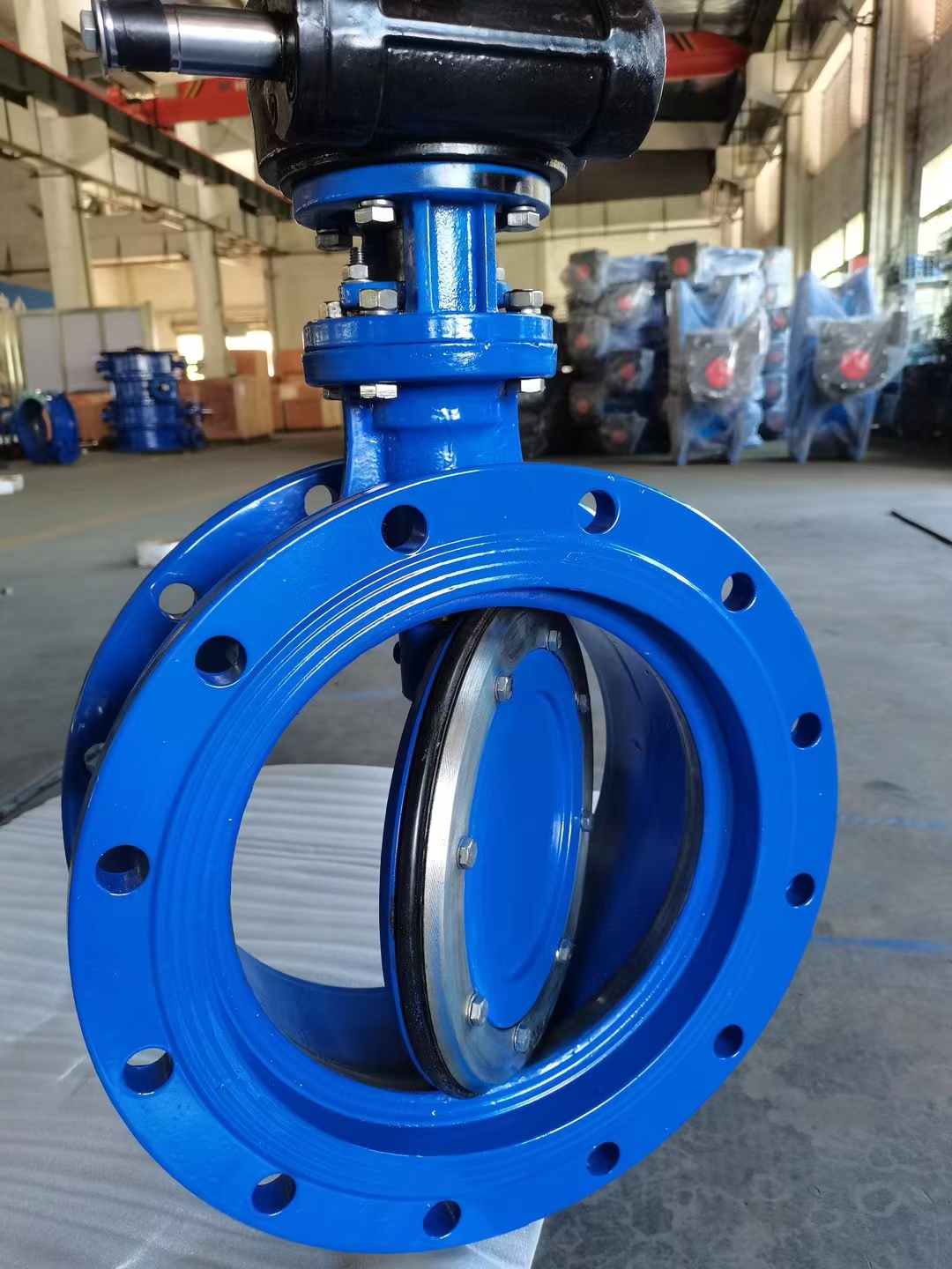 Resilient Seated Butterfly Valve With Gearbox And Handwheel, Ductile ...