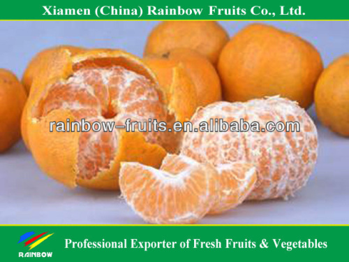 Fresh Chinese Mandarin, High Quality Fresh Chinese Mandarin on Bossgoo.com