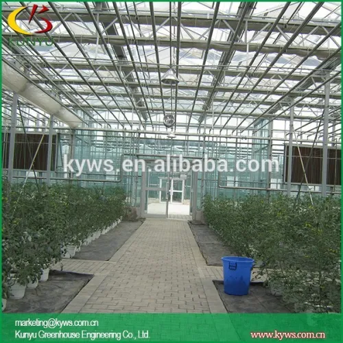 Sawtooth Type Vegetable Greenhouse Glass Greenhouse, High Quality ...