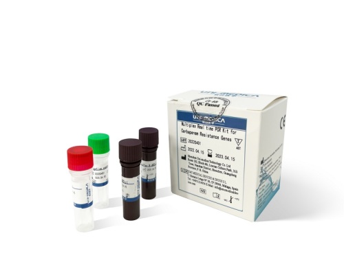 Multiplex Real Time Pcr Kit สำหรับยีนต้านทาน Carbapenem คุณภาพสูง ...