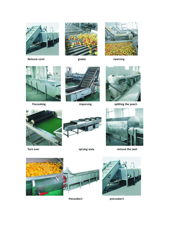 Yellow Peach Canned Production คุณภาพสูง Yellow Peach Canned Production ...