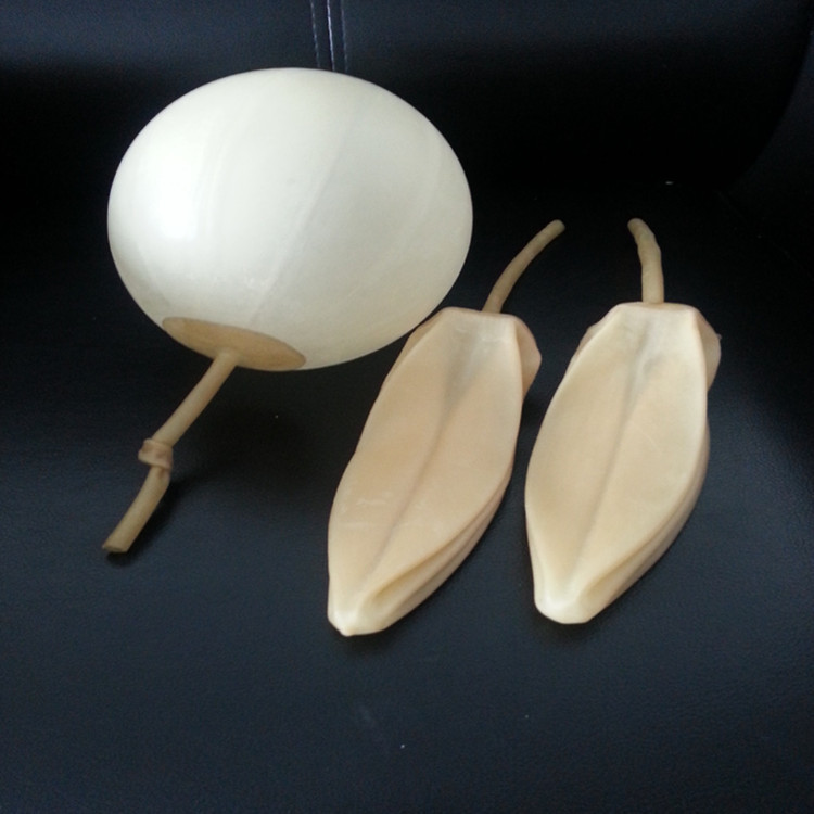 Laboratory Gas Sampling Bags - Nitrogen Liquefaction Rubber Bladders 2l ...