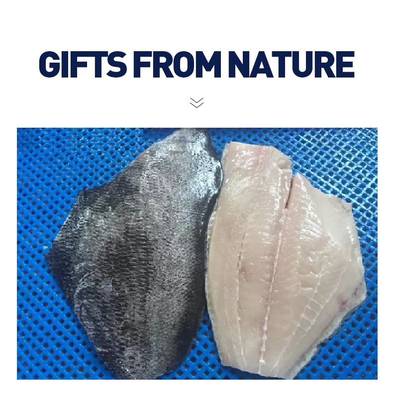 Frozen Brama Fillet Brama Brama Fillet, High Quality Frozen Brama ...