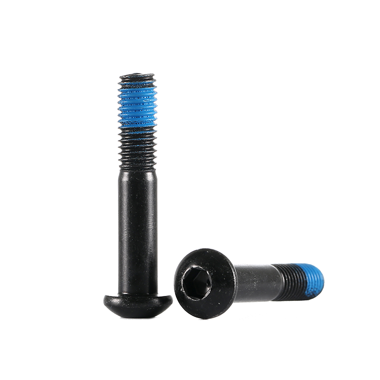 Stainless Steel Phillips Head Nylok Screw For Hidden Camera, High ...