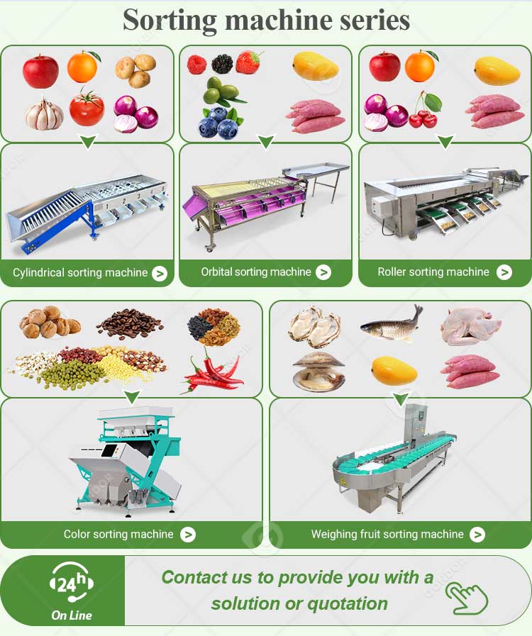 Fruit Size Sorting And Grading Machine: Avocado, Potato, Tomato, Orange ...