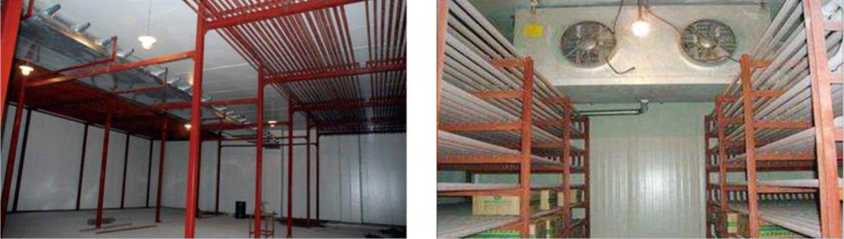Quick Freezing Cold Storage , High Quality Quick Freezing Cold Storage ...