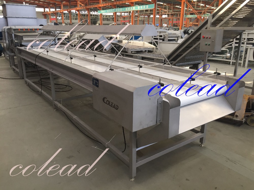 Sus304 Dates Sorting Table Belt Conveyor, High Quality Sus304 Dates ...