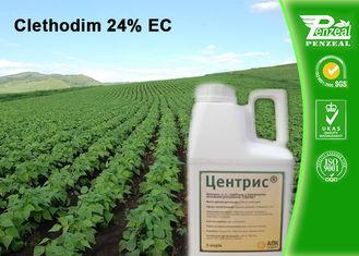 Selective Weed Killer / Grass Selective Herbicides Clethodi, High ...