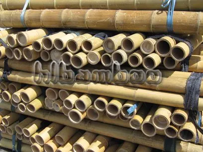 Natural Bamboo Poles Agricultural, High Quality Natural Bamboo Poles ...