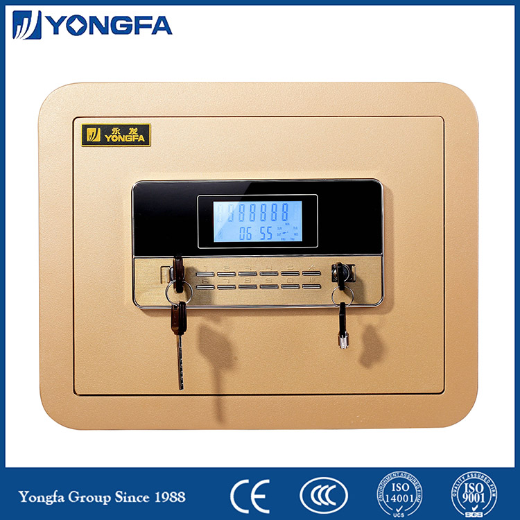 Intelligent Electronic Digital Safety, High Quality Intelligent ...