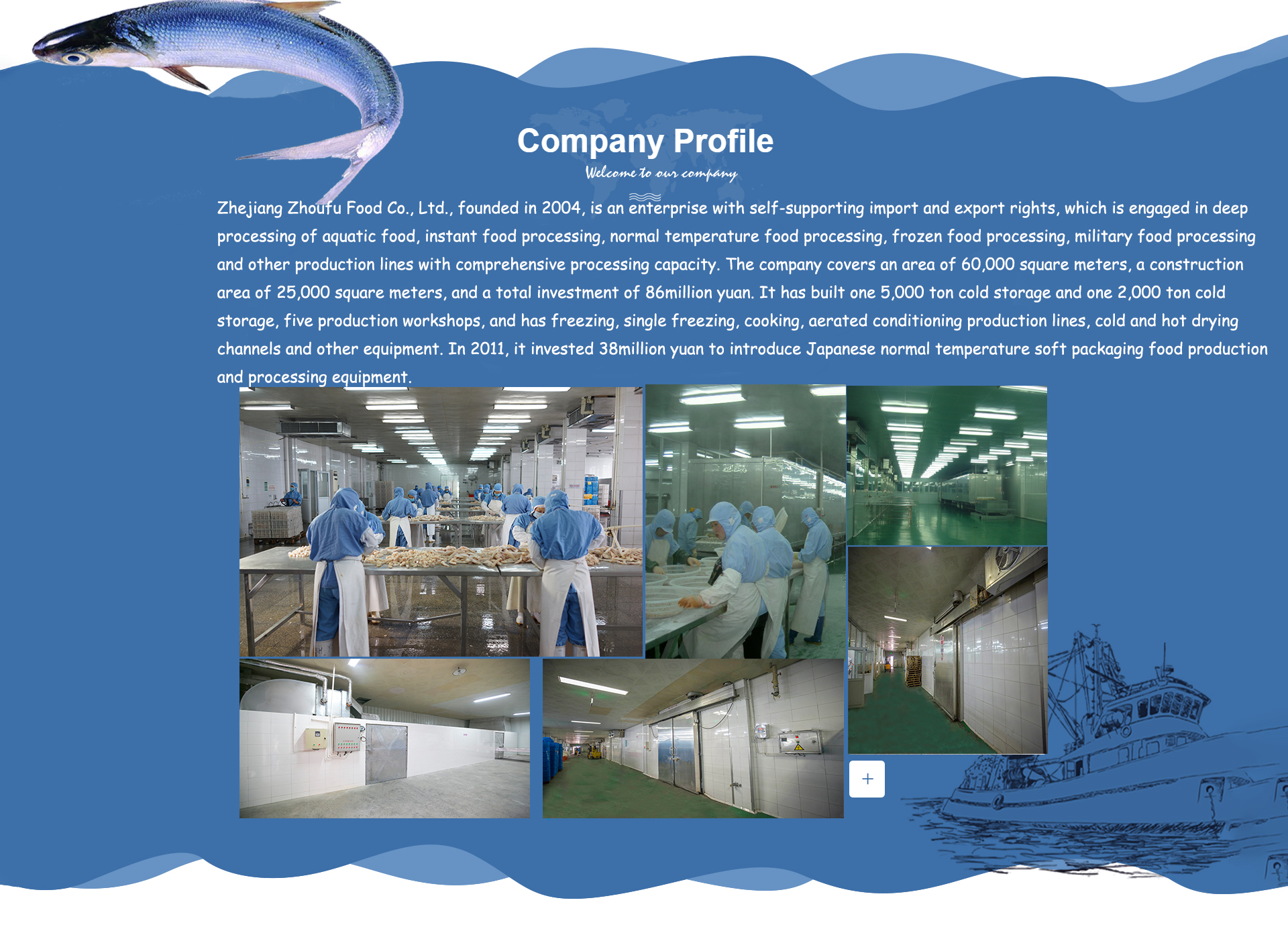 New Arrival Seafood Frozen Vannamei Shrimp, High Quality New Arrival ...
