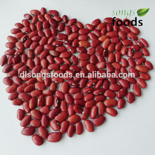 Ethiopian Red Kidney Beans, High Quality Ethiopian Red Kidney Beans on ...