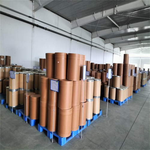 Ajuga Ciliata Bge Extract Powder, High Quality Ajuga Ciliata Bge ...