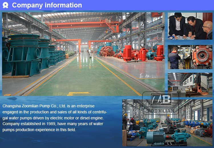 Irg Water Pump: Inline And Vertical Inline Water Booster Pump Solutions ...