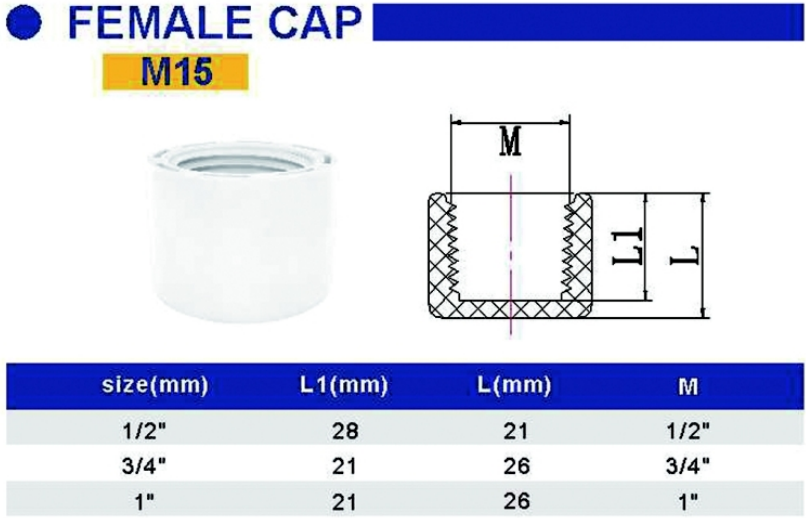 Upvc Sch40 Female End Cap, High Quality Upvc Sch40 Female End Cap on ...